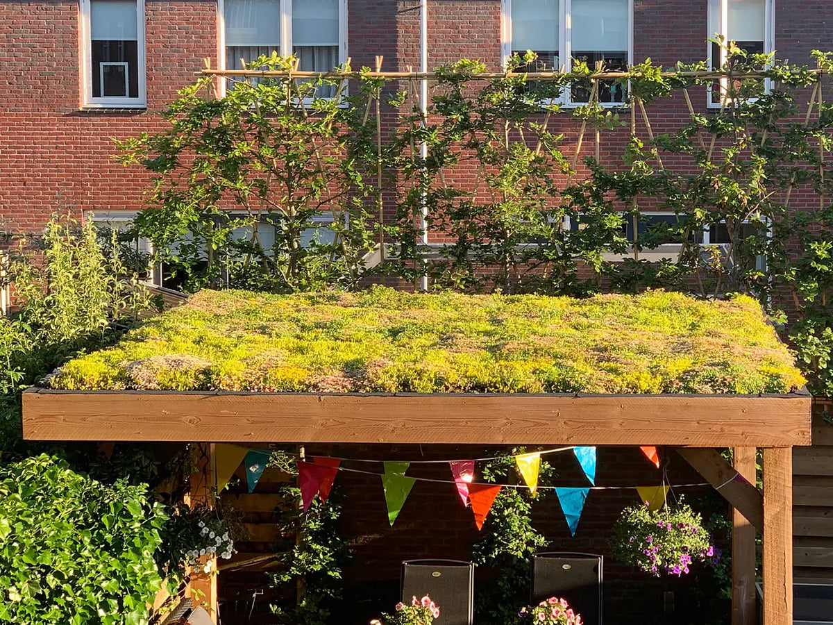 Carport Set Gründach von AboutGreen kaufen
